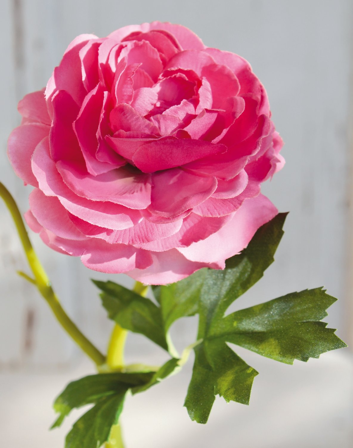 Künstliche Ranunkel 1 Blüten 1 Knospen 32 cm pink