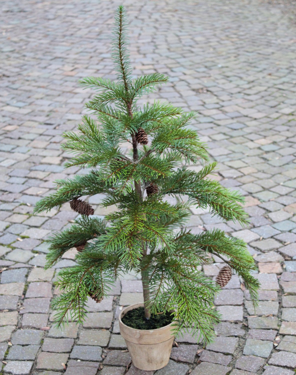 Künstlicher Nordmann-Tannenbaum mit Zapfen, getopft, 92 cm, grün