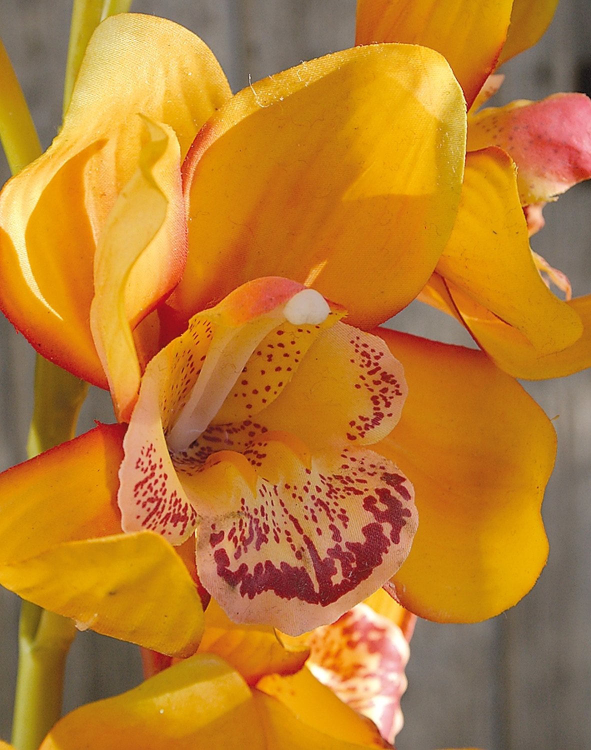 Künstliche Orchidee Cymbidium, 87 cm, Real Touch, orange