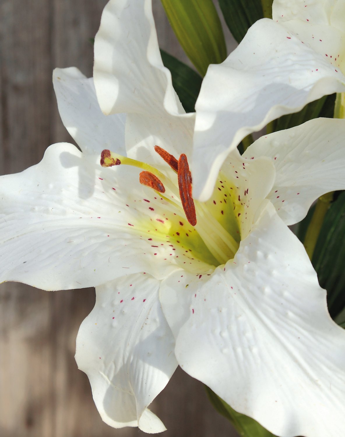 Künstliche Lilie Stargazer, 89cm, Real Touch, weiß-grün
