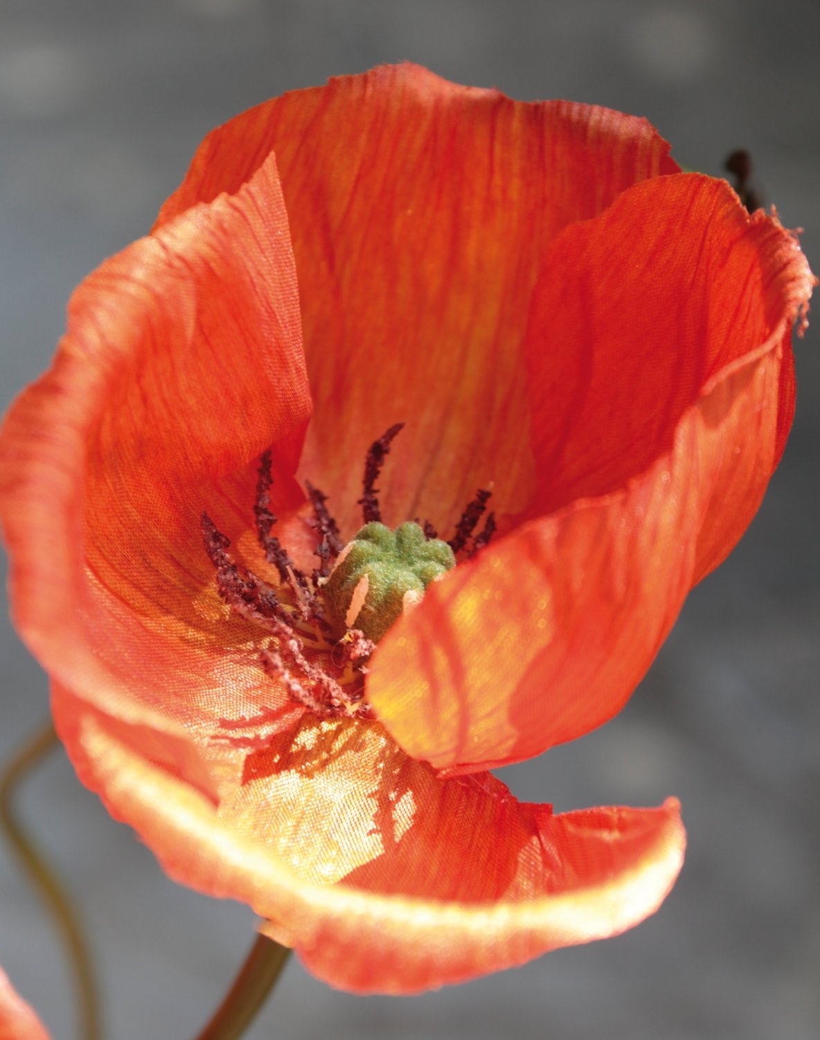 Künstlicher Mohn, 2 Blüten, 1 Knospe, 75 cm, orange