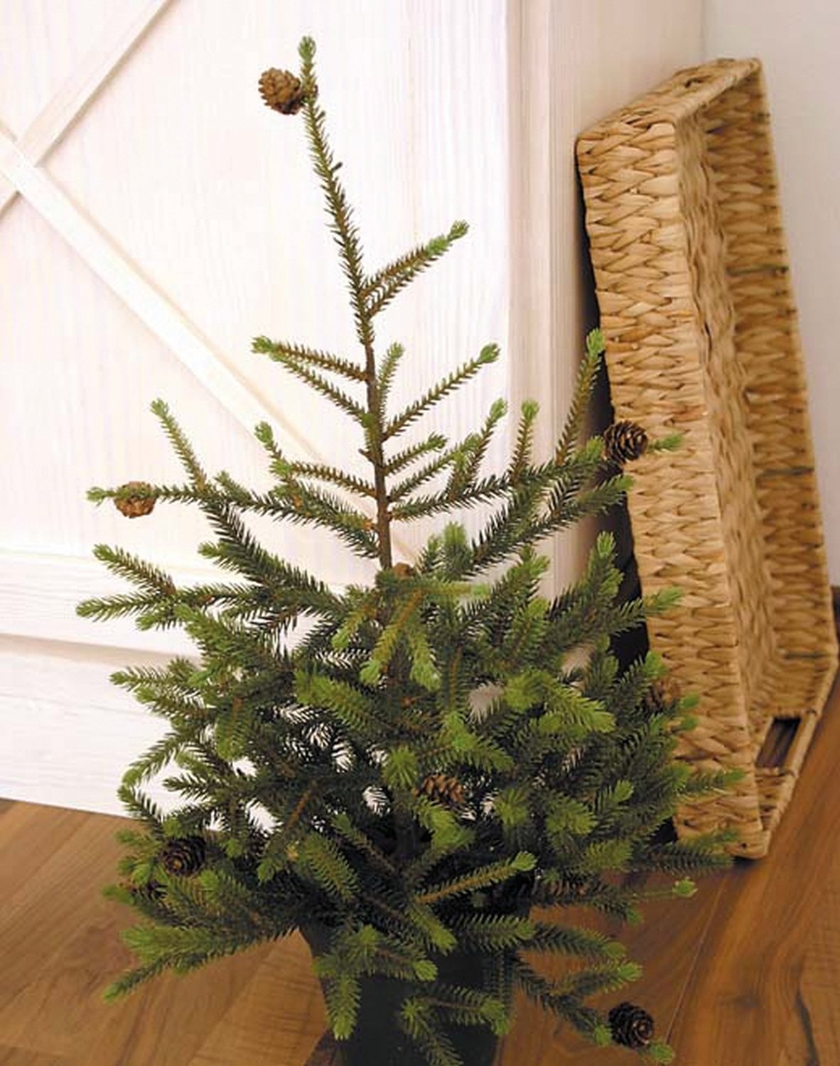 Künstlicher Tannenbaum, getopft, 60 cm, grün