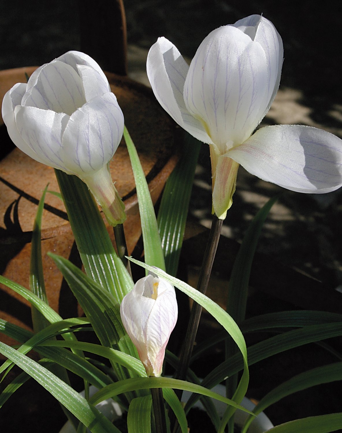 Künstlicher Krokus, 3-fach, getopft, 30 cm, violett-weiß