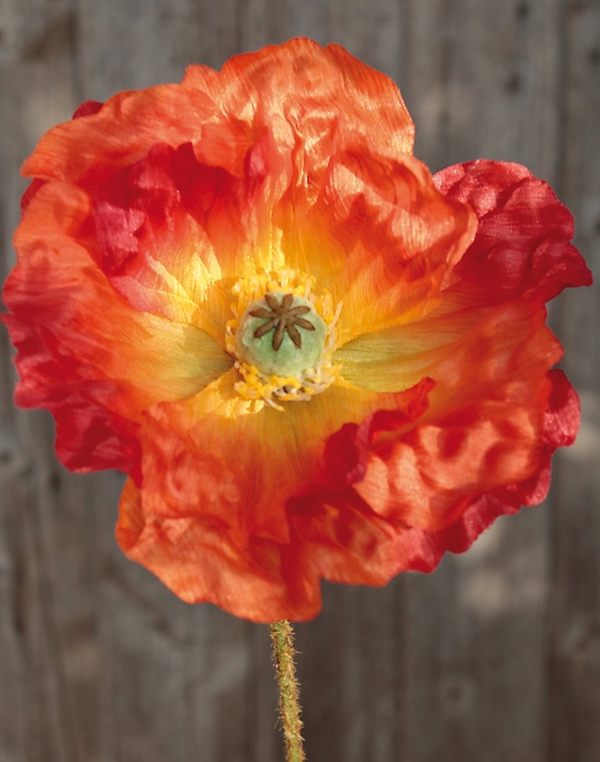 Künstlicher Mohn, 2 Blüten, 1 Knospe, 86 cm, orange