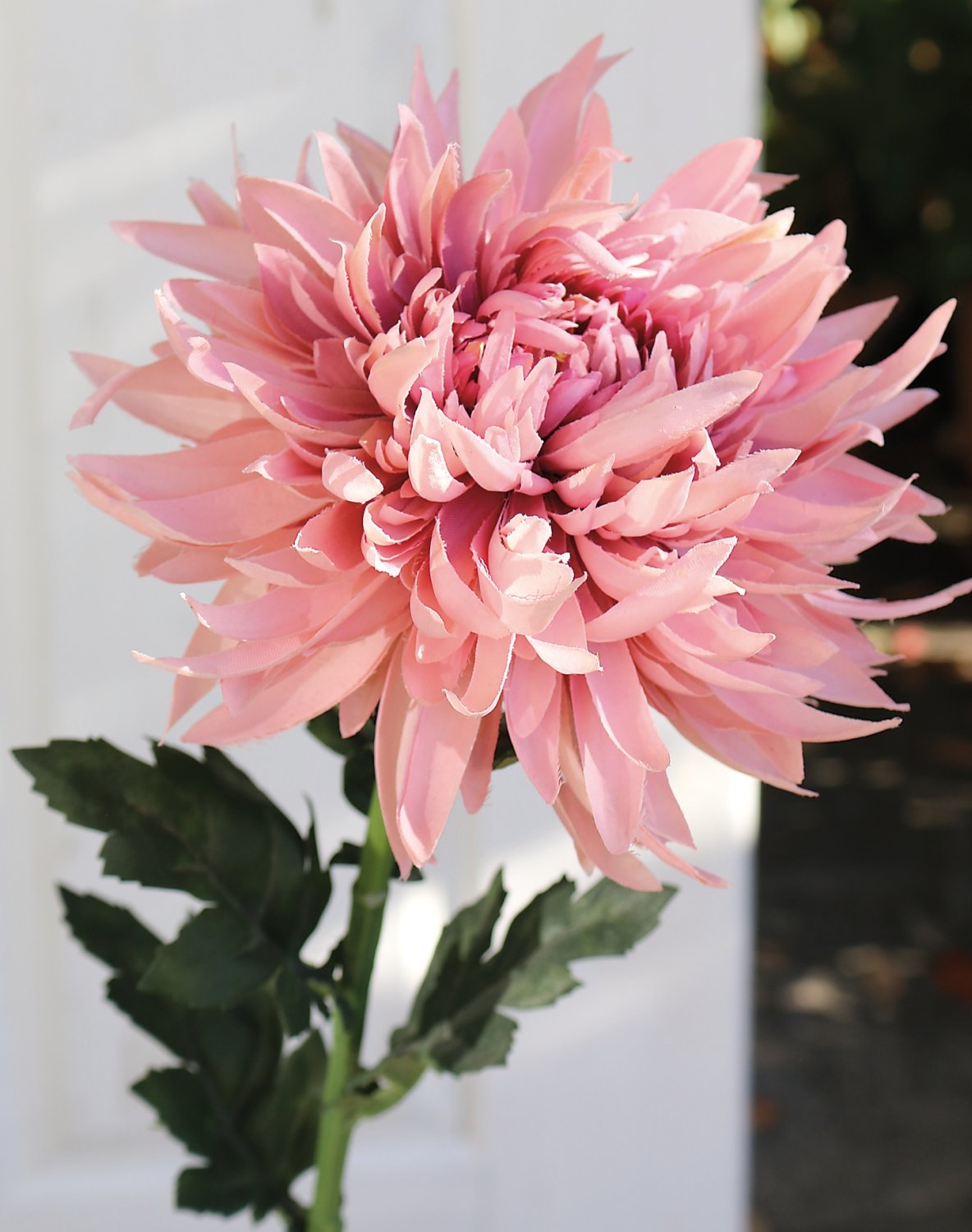 Künstliche Chrysantheme, 62 cm, antik-rosa